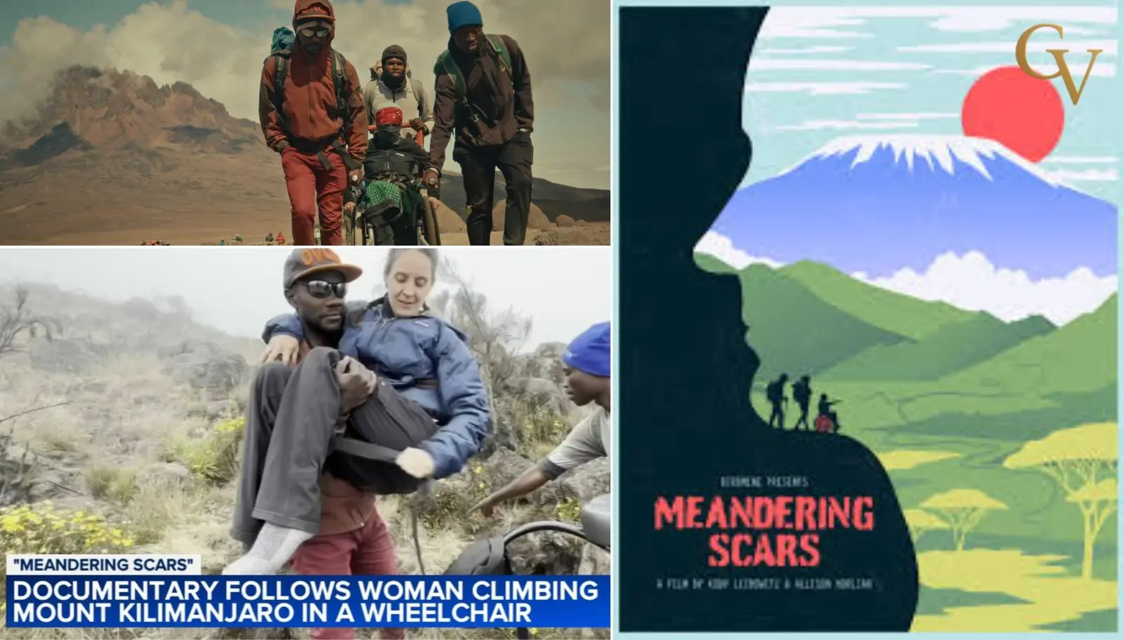 Meandering Scars Review: What the Documentary Is Really About and Why ...